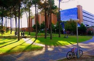 Curtin University Ranking | Australian Universities